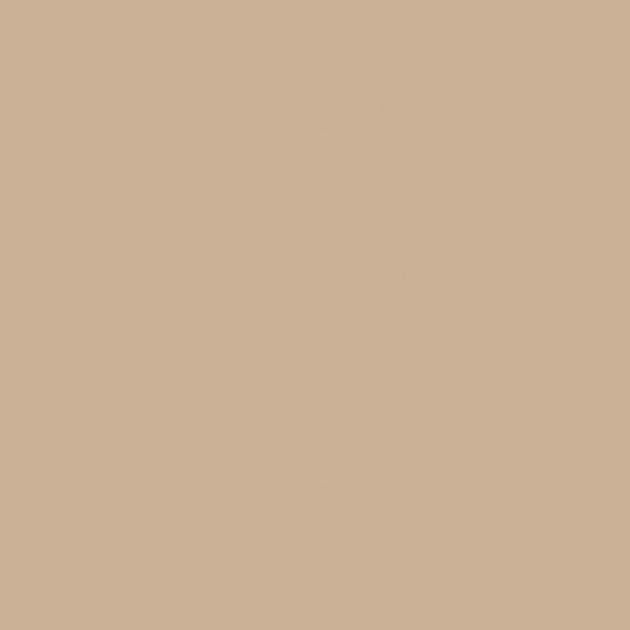 Confetti Cotton Solid C120-Cappuccino | Quilt Expressions