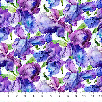 Infatuation White Multi Packed Iris DP28614-10 | Quilt Expressions